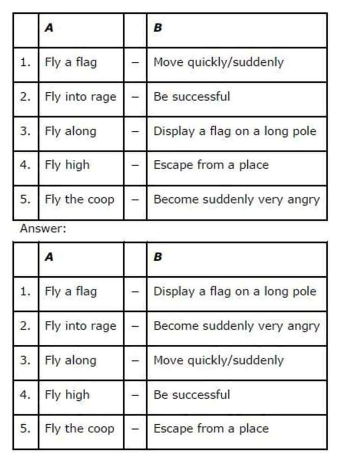 Two Stories About Flying Question Answer | Class 10 English First ...