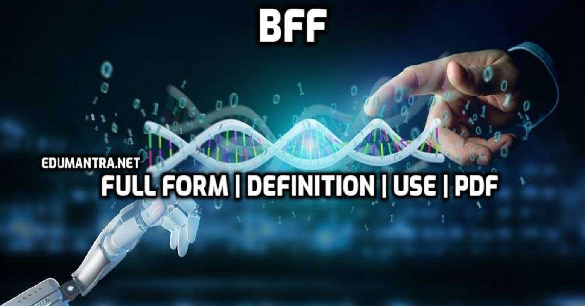 BFF Full Form What Is The Full Meaning Of BFF BFF Full Form What Is The Full Meaning Of BFF
