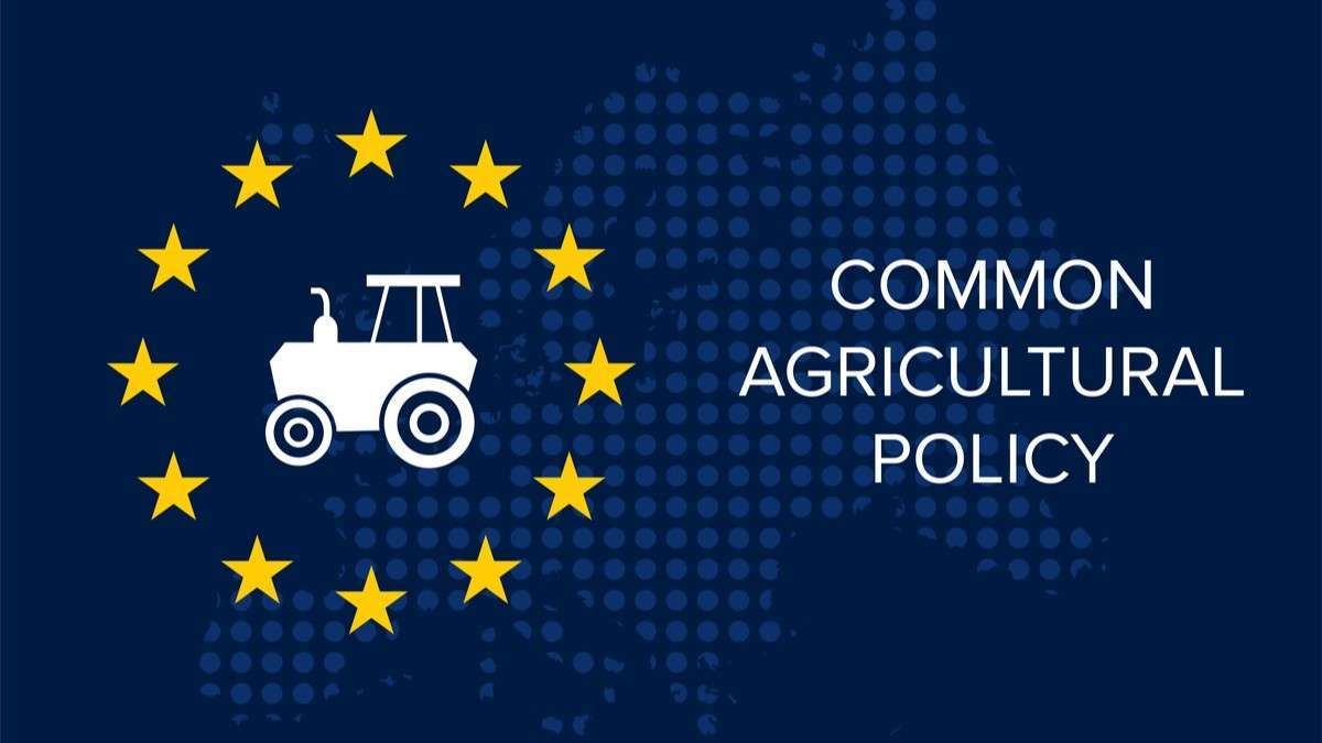 34 CAP Full Form What Is Common Agricultural Policy CAP 