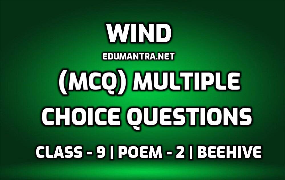 Wind Poem MCQ | Board Material