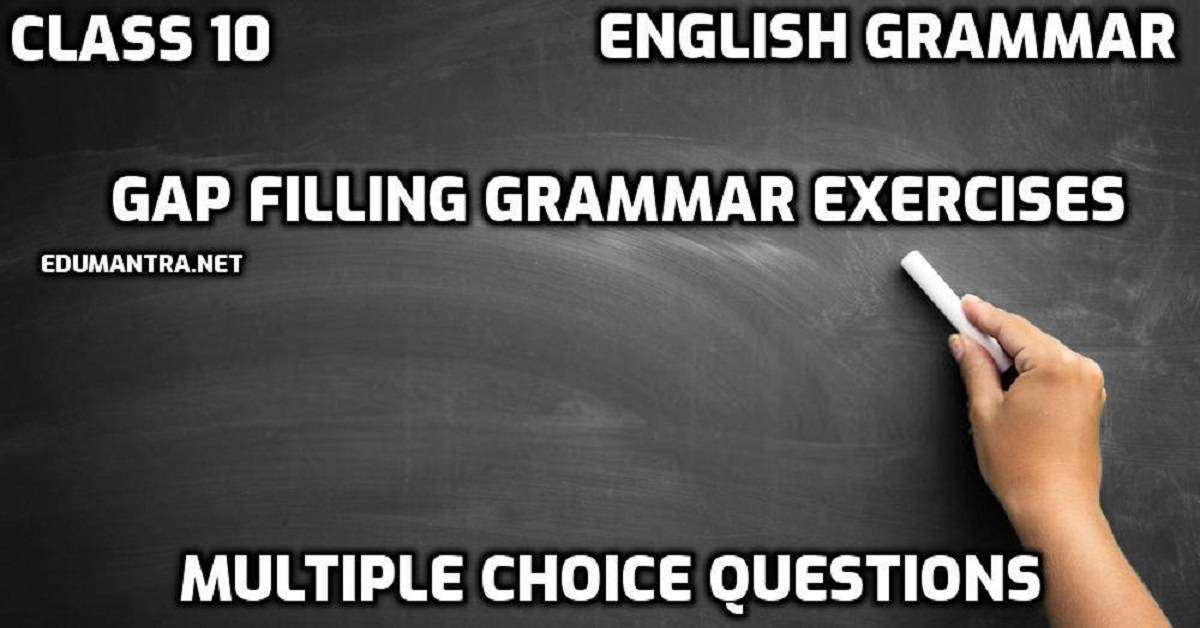 Gap Filling Exercises Test With Options For Class 8 gap-filling-exercises-test-with-options-for-class-8