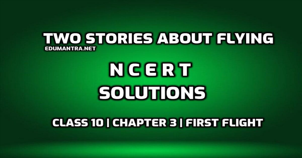 Two Stories About Flying Question Answer | Class 10 English First ...