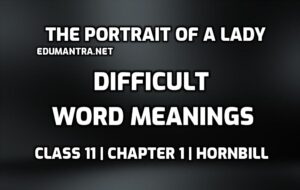 The Portrait of a Lady Word Meaning | Easy Language