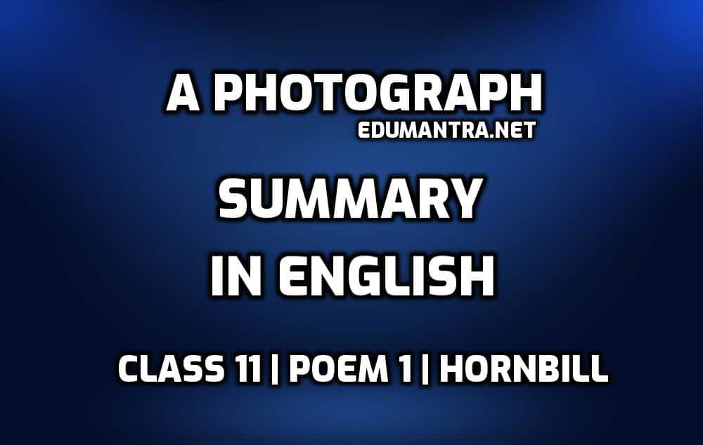 A Photograph Class 11 Summary In English