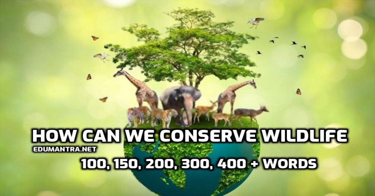 How Can We Conserve Wildlife | 100, 150, 250, 300, 400 + Words