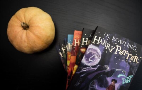 Essay on My Favourite Book Harry Potter Series