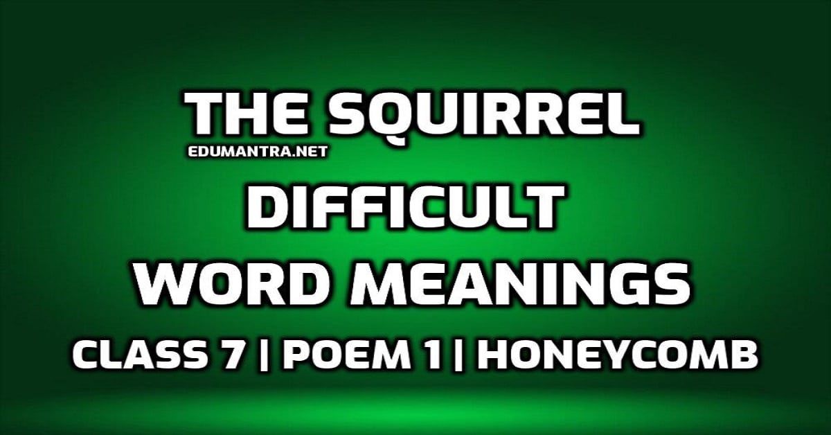 Hard Words : The Squirrel Difficult Words in English with Hindi Meaning ...