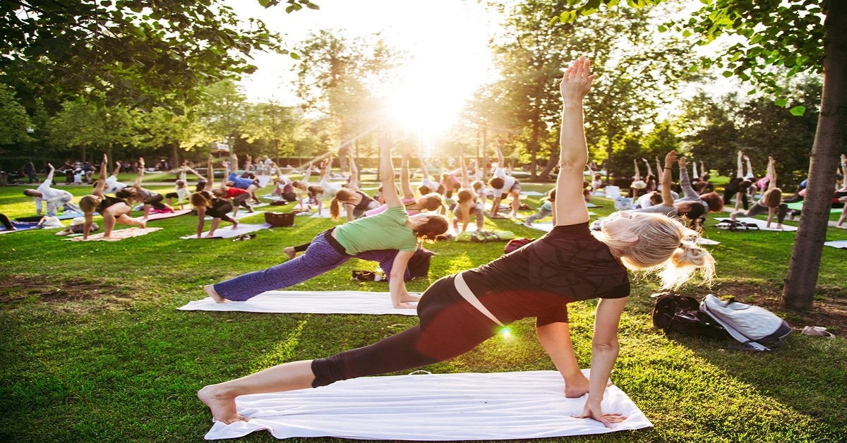 Paragraph on Importance of Yoga: 100 to 500 words Short and Long | All ...