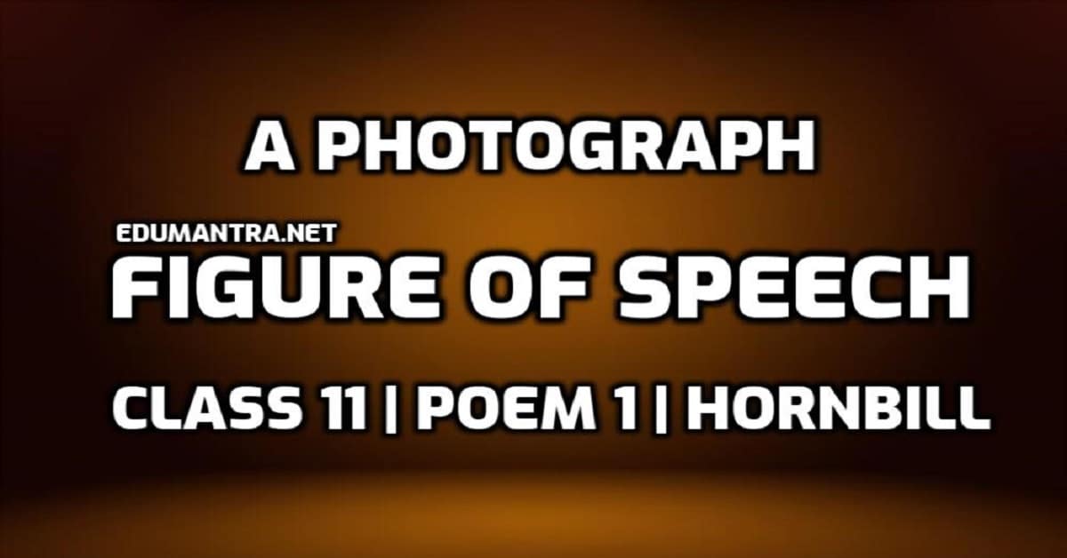 Figure of Speech in A Photograph Class 11 Hornbill In-Depth Analysis ...