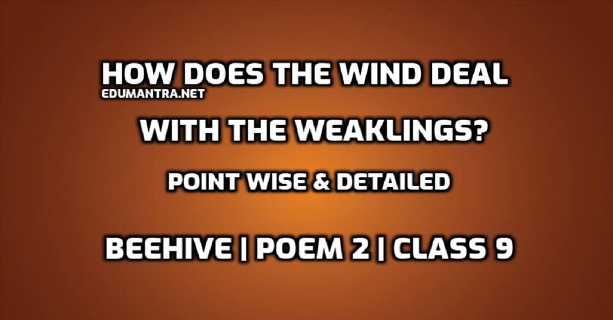 How does the wind deal with the weaklings? | Beehive | class 9 | English