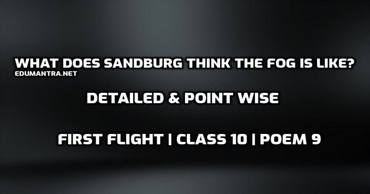 What does Sandburg think the fog is like? | First Flight | Class 10