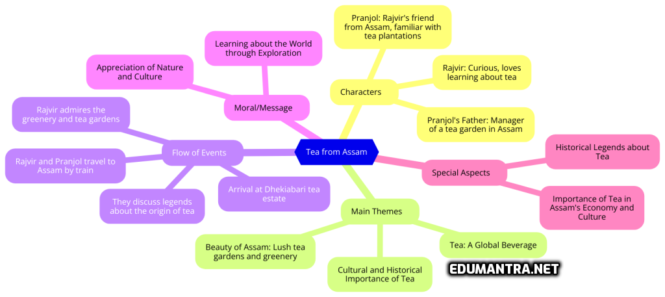 Tea From Assam Mind Map | Class 10 | First Flight | Easy Concept Guide