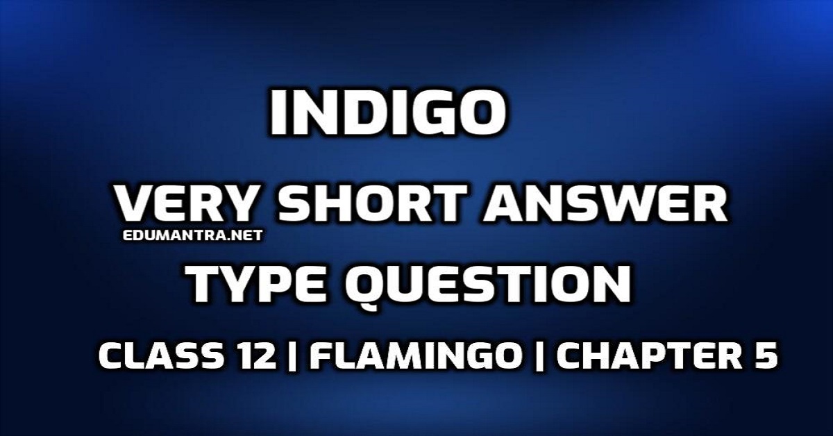 Indigo Very Short answer Type Question | Assumption, Creativity ...