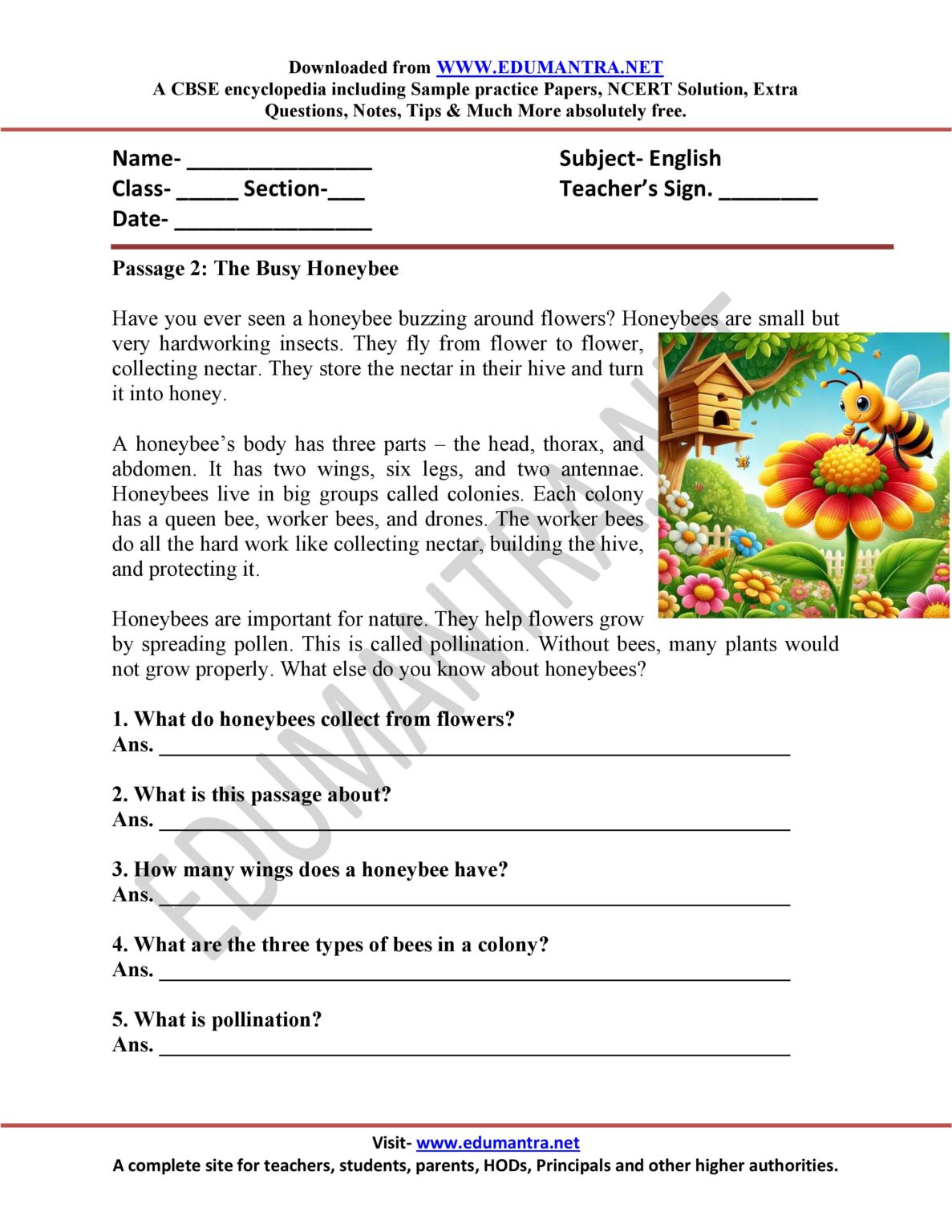 10+ Unseen Passage for Class 5 Worksheet | Printable Comprehension ...