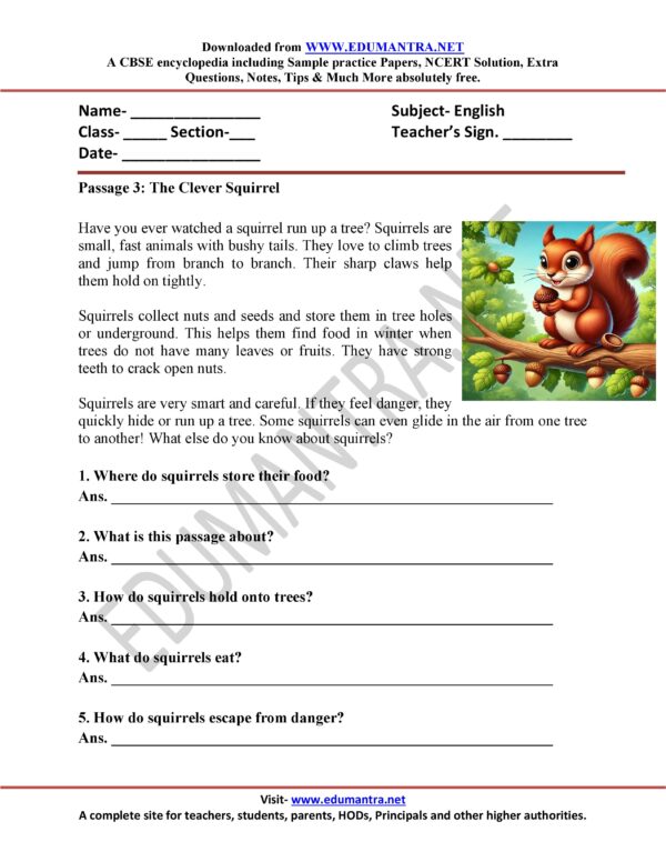 10+ Unseen Passage for Class 5 Worksheet | Printable Comprehension ...
