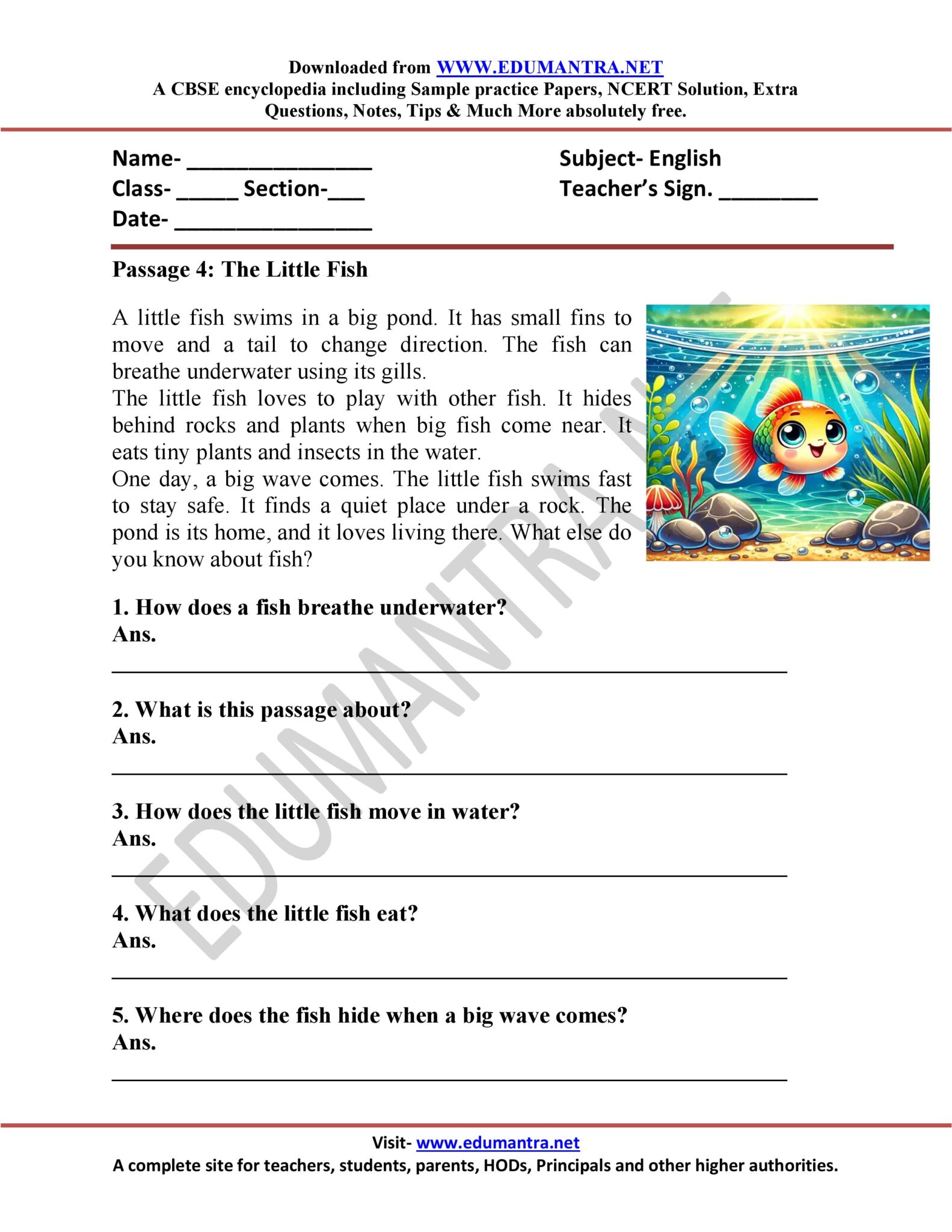 10+ Unseen Passage for Class 5 Worksheet | Printable Comprehension ...