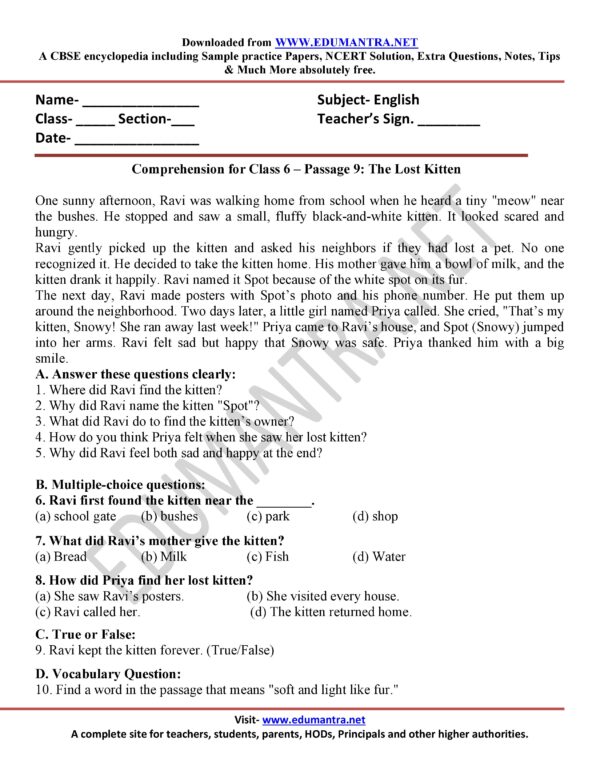 50 + Comprehension for Class 6 Passages | MCQ | Subjective | Exercises ...