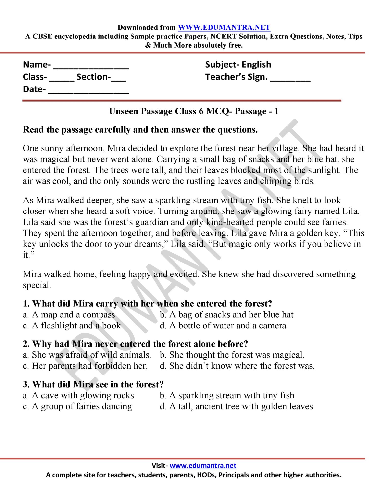 Unseen Passage for Class 6 with MCQ Questions | Free PDF Download