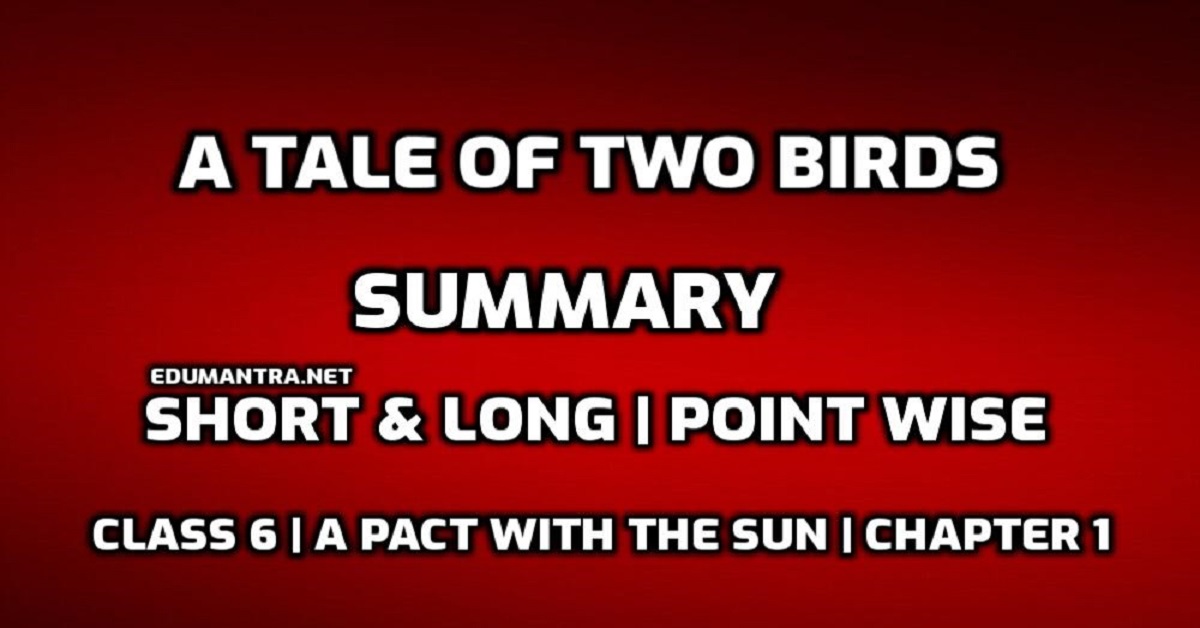A Tale of Two Birds Summary Class 6 pdf | Short & Long | Point Wise ...